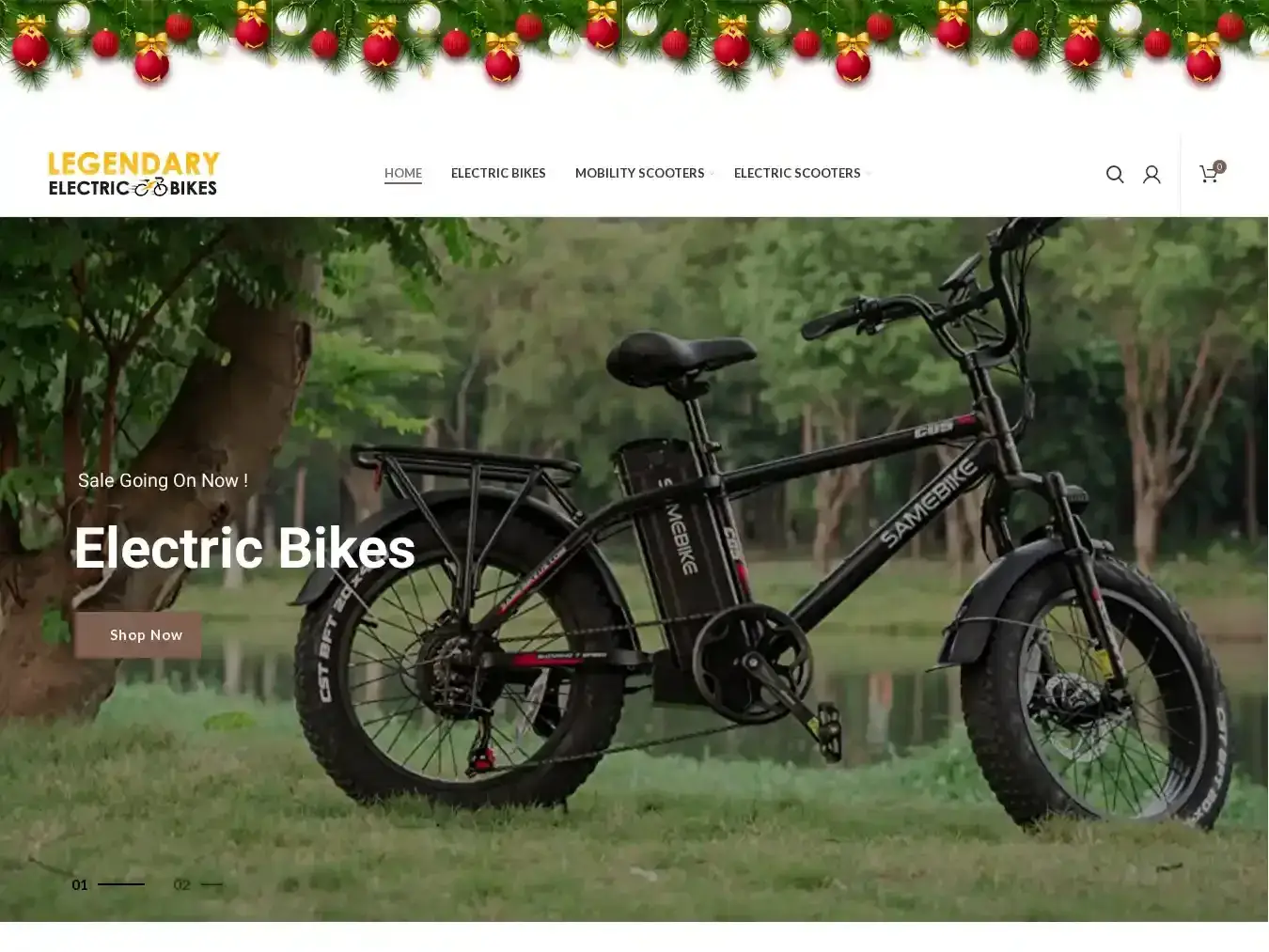 Electricsbikeusa.com - The Scam Directory